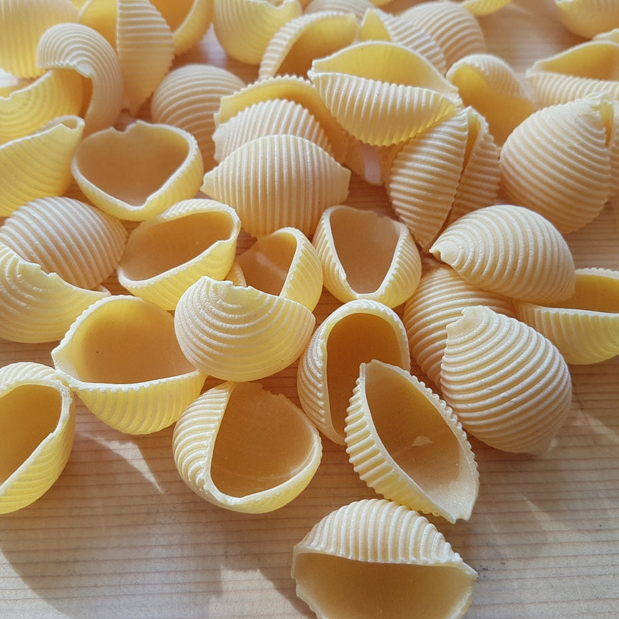 Conchigliette Pasta, Fresh – Rusty Hinges Ranch