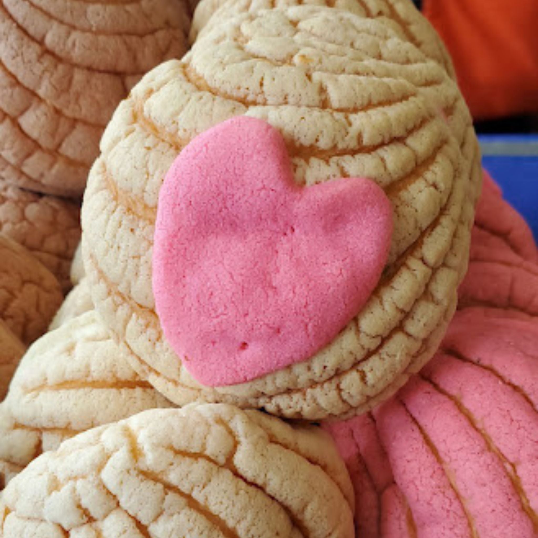 Valentine's Concha – Rusty Hinges Ranch